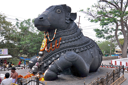 Who Built the Nandi Statue in Mysore? History, Significance & Visitor Guide