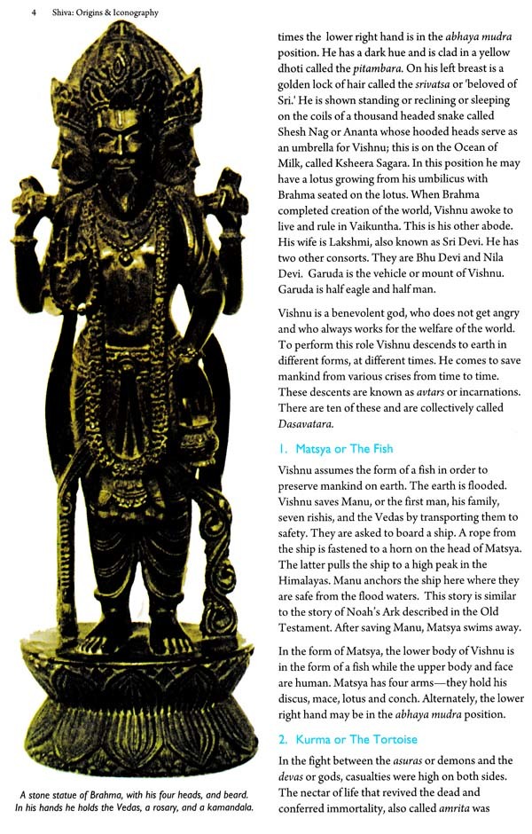 Shiva: Origins & Iconography | Exotic India Art