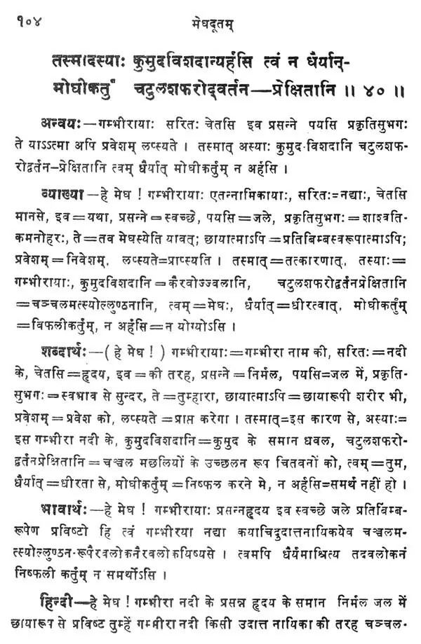 मेघदूतम् - Meghadutam of Mahakavi Kalidasa | Exotic India Art