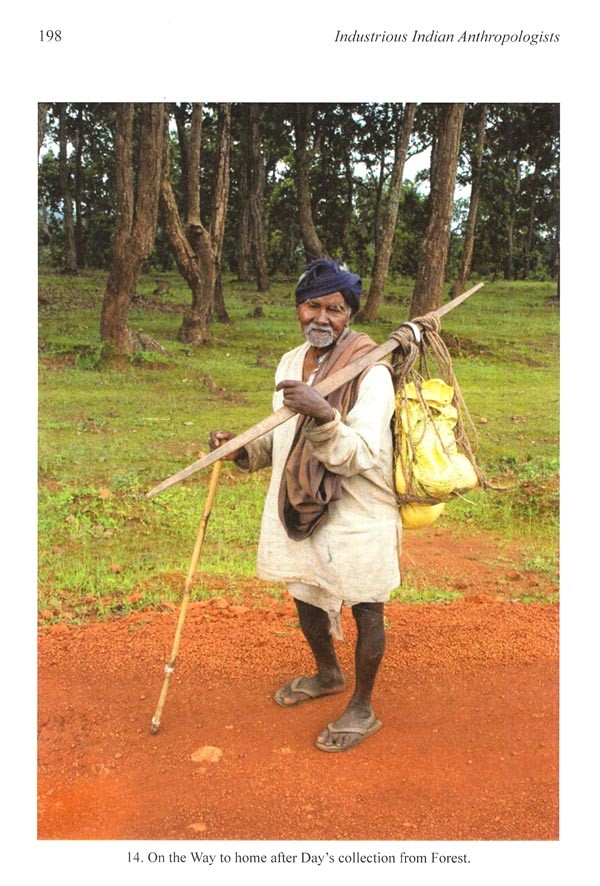 Industrious Indian Anthropologists (1920-2019) | Exotic India Art