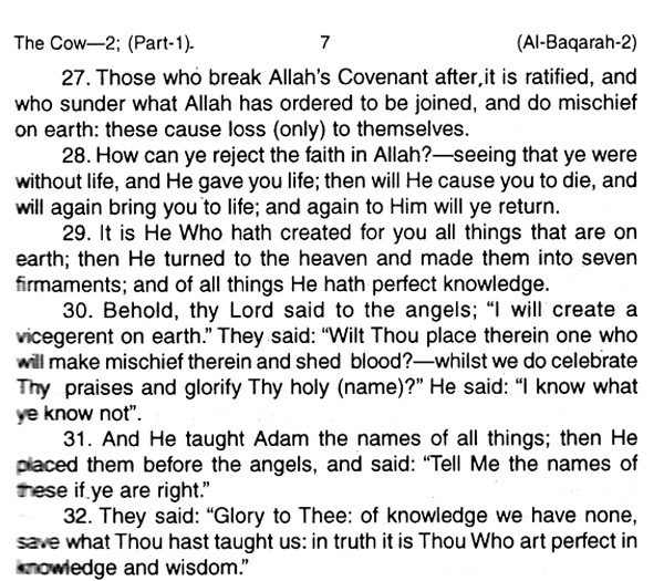 The Meaning of the Illustrious Qur'an: English Translation with ...