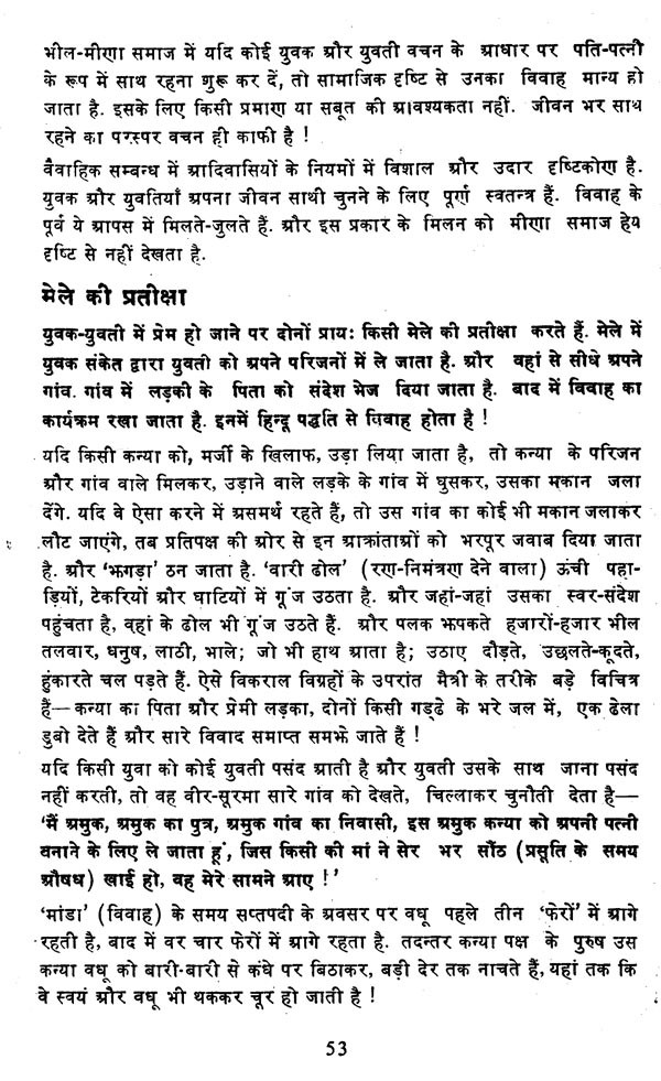 आदिवासी भील मीणा: Tribal Bhil Meena | Exotic India Art