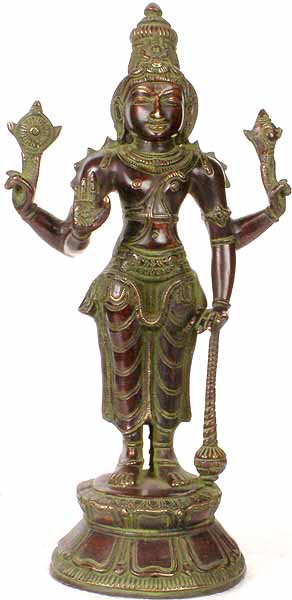 Sthanak Vishnu | Exotic India Art