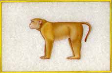 The Simian | Exotic India Art