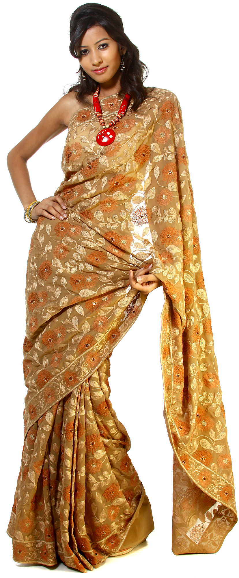 Antelope-Brown Sari with Densely Embroidered Flowers and Leaves ...