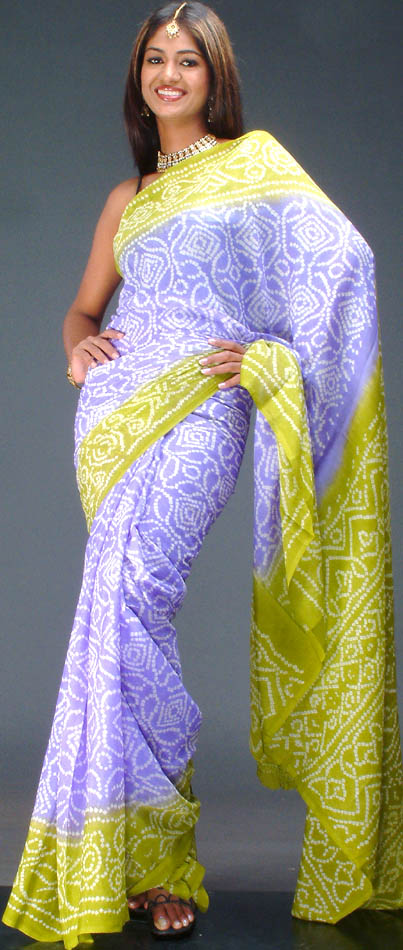 Blue Bandhini Sari with Green Border | Exotic India Art