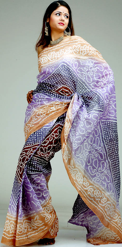 Brown and Periwinkle Bandhani Sari from Gujarat | Exotic India Art