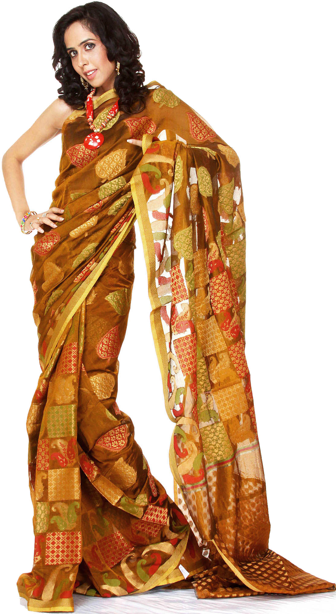 Brown-Sugar Banarasi Sari with Woven Leaves | Exotic India Art