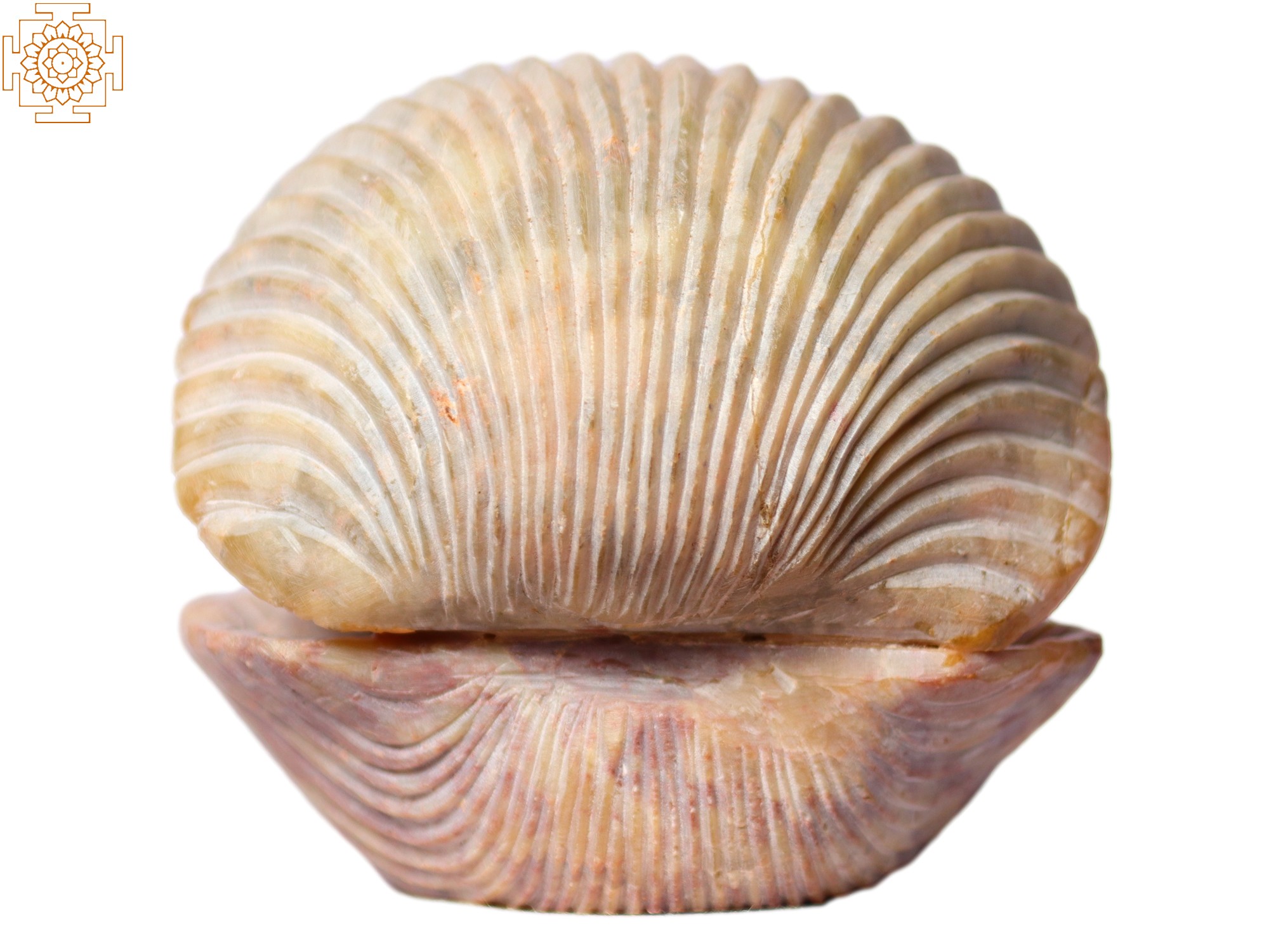 3" Small Hindu God Ganesha Inside Shell | Exotic India Art