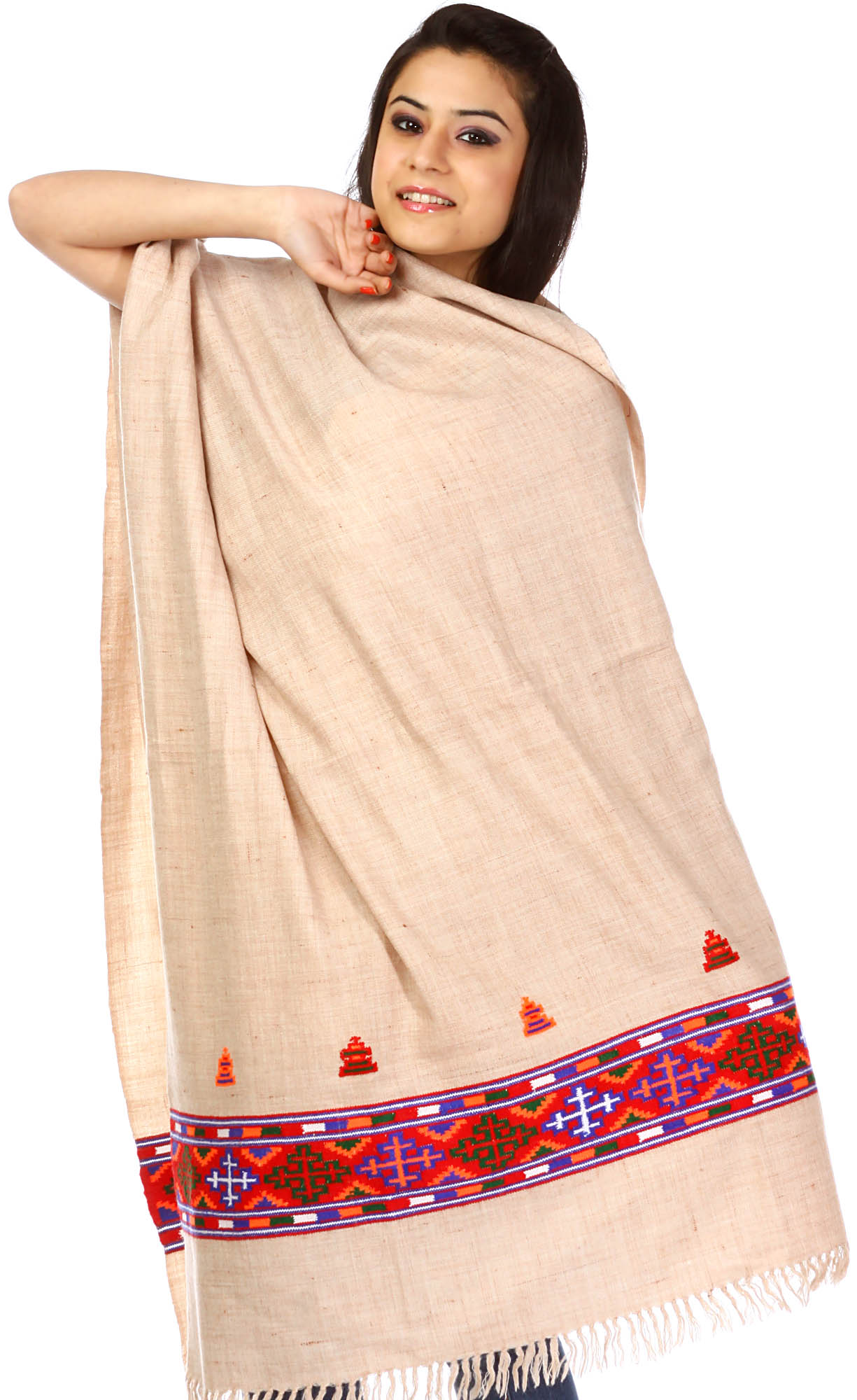 Beige Kullu Shawl with Kinnauri Border | Exotic India Art