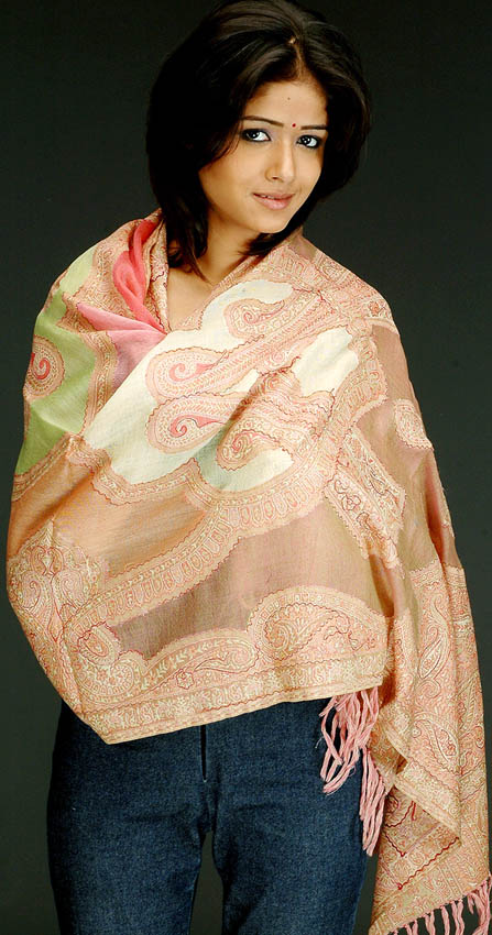 Multi-Color Jamawar Stole with Embroidery | Exotic India Art