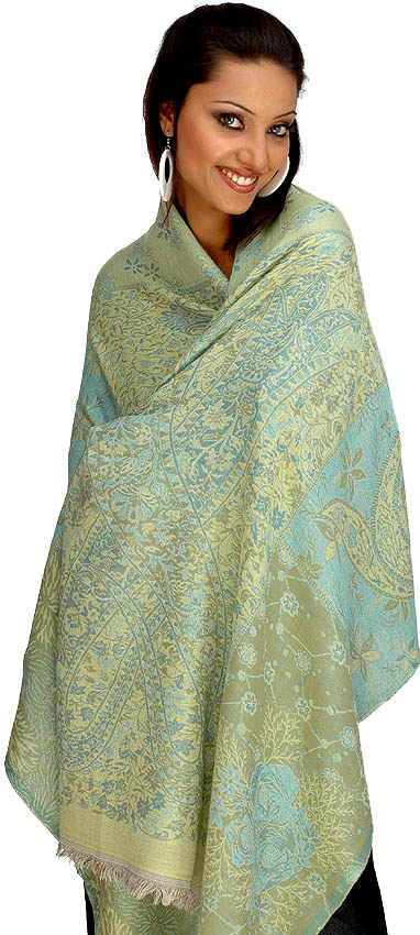 Pure Wool Stole with All-Over Weave | Exotic India Art
