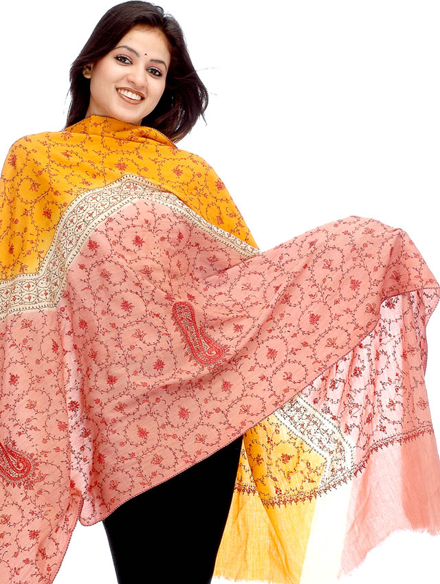 Tri-Color Tusha Shawl from Kashmir with All-Over Needle Embroidery ...