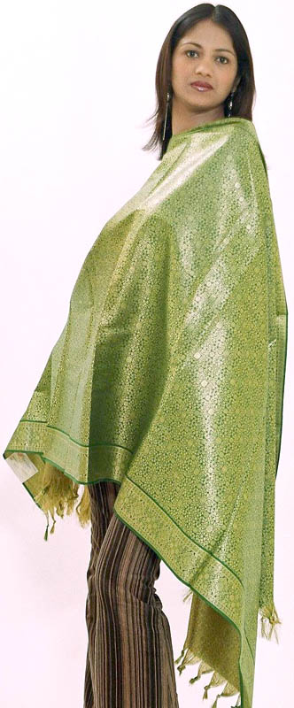 Reshami Tanchoi Shawl | Exotic India Art