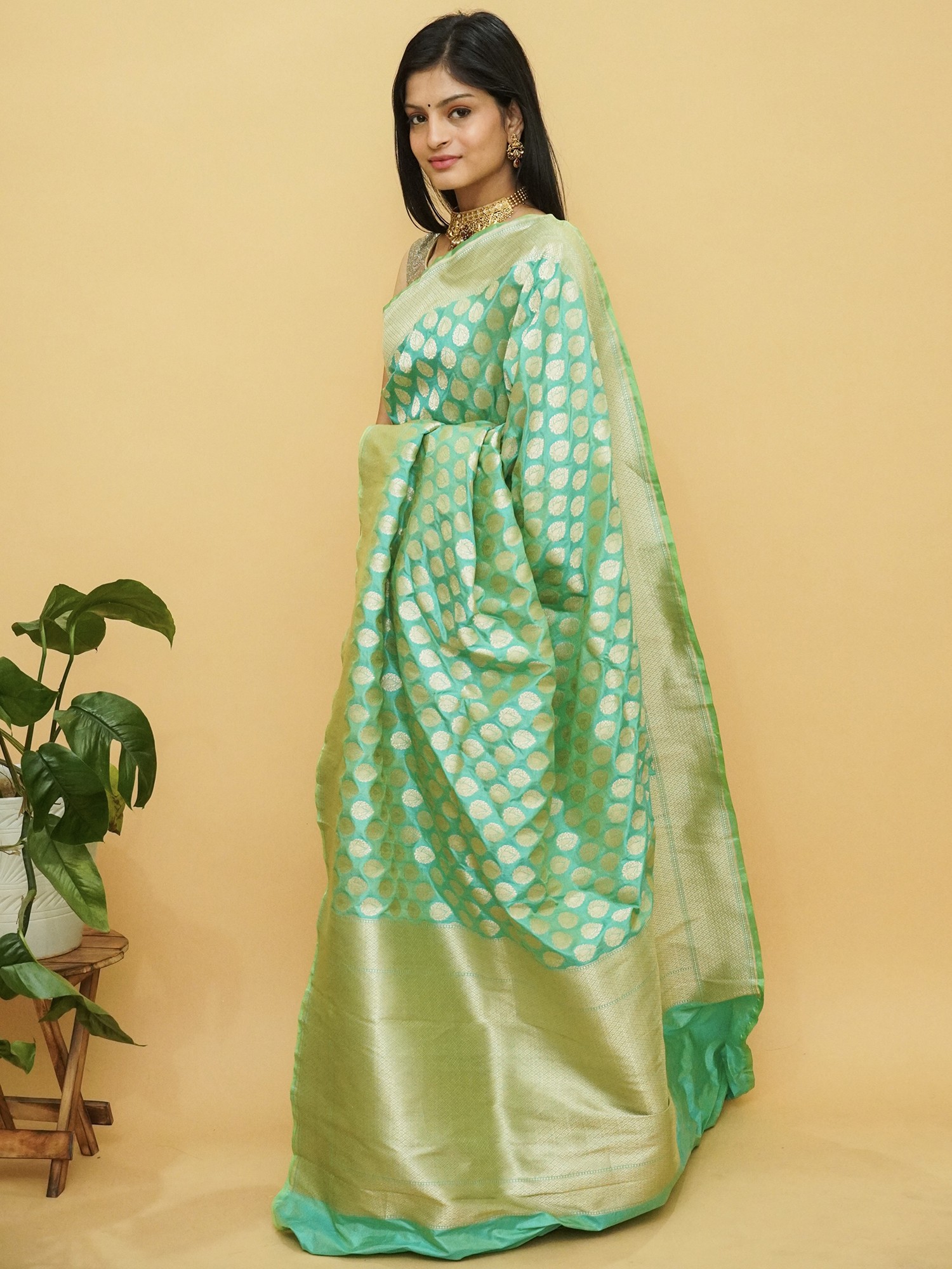Ice-Green Banarasi Pure Katan Silk Saree with Floral Drop Motif and Diamond Pattern on Border ...