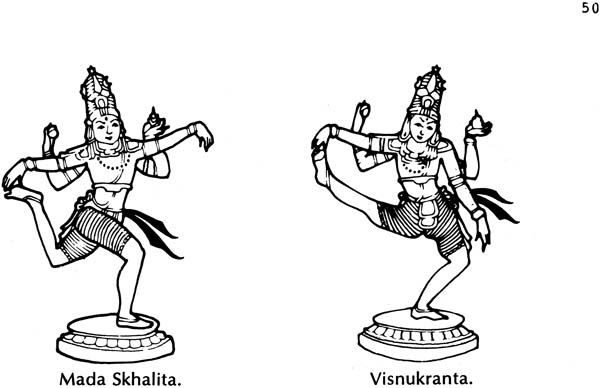 Karanas: Cosmic Shiva 108 Bharatha Poses | Exotic India Art