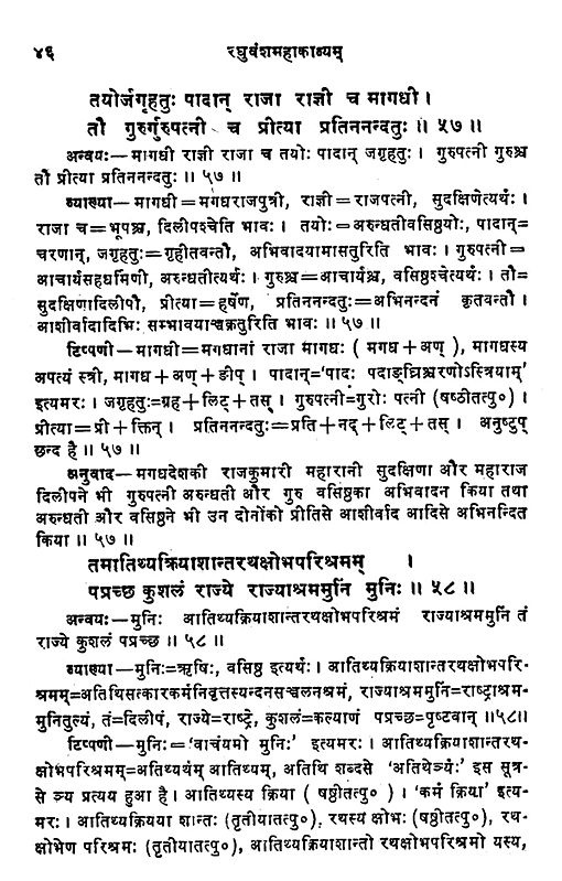 रघुवंशम्- Raghuvamsam of Kalidasa | Exotic India Art