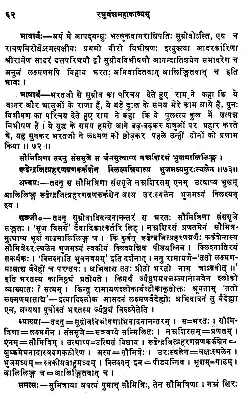 रघुवंशम् - Raghuvamsam of Kalidasa | Exotic India Art