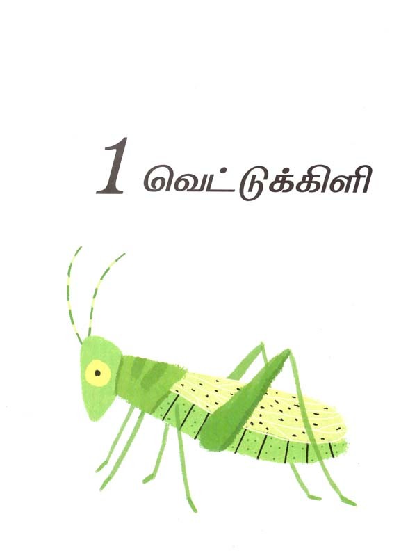 வியத்தகு பூச்சிகள்- Dramatic Insects (Tamil) | Exotic India Art