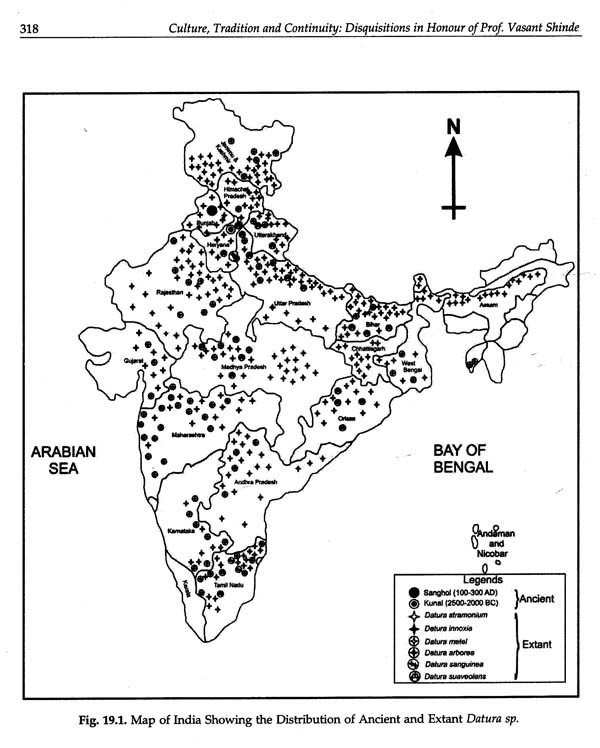 Culture, Tradition and Continuity- Disquisitions in Honour of Prof ...