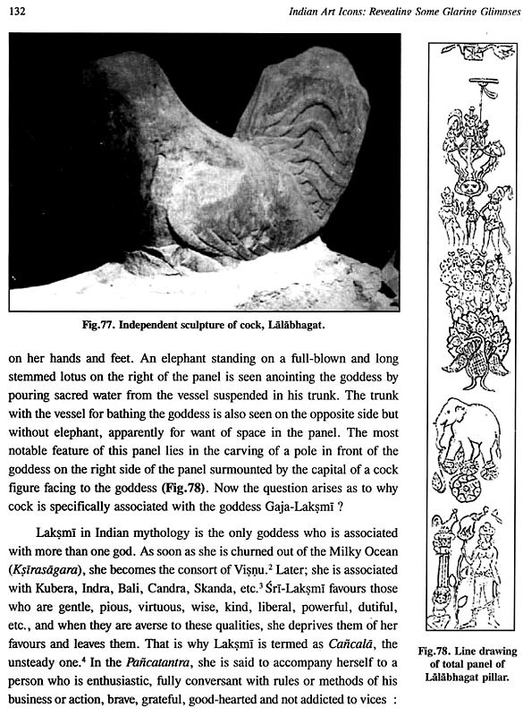 Indian Art Icons (Revealing Some Glaring Glimpses) | Exotic India Art