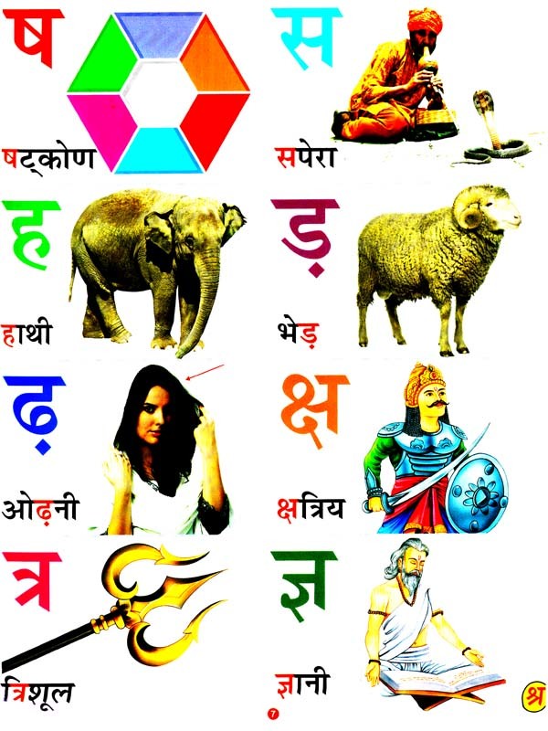 मेरी प्रथम हिन्दी वर्णमाला क ख ग- My First Hindi Alphabet | Exotic ...