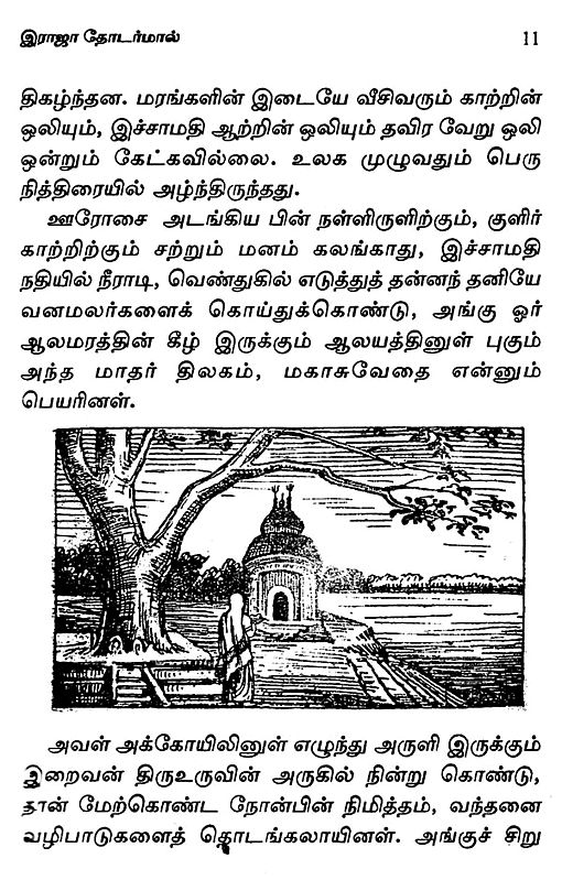 இராஜா தோடர்மால்- Raja Todarmal (Tamil) | Exotic India Art