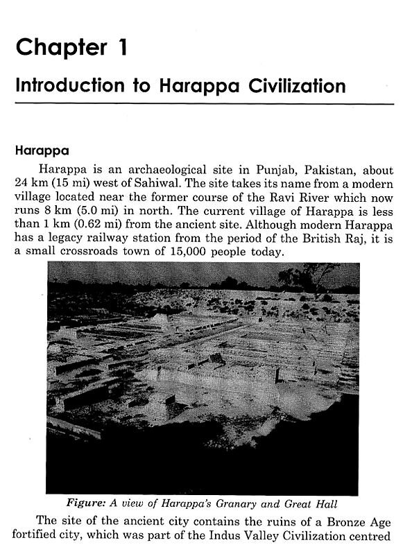 Understanding Harappa: Civilization in the Greater Indus Valley ...