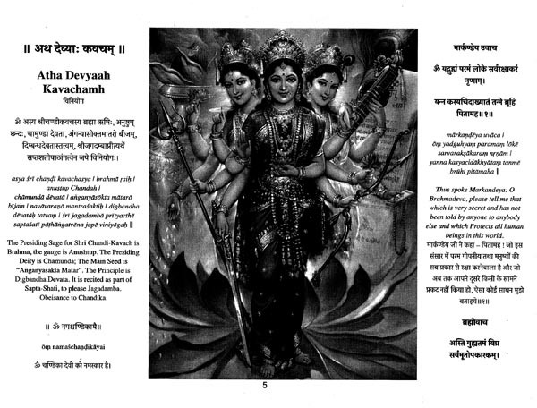 Devi Mahatmayam: Durga Saptashati Chandi Path (Sanskrit Text ...