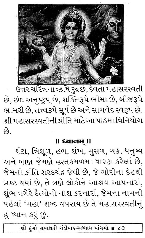 Chandi Path- Shri Durga Saptasati (Gujarati) | Exotic India Art