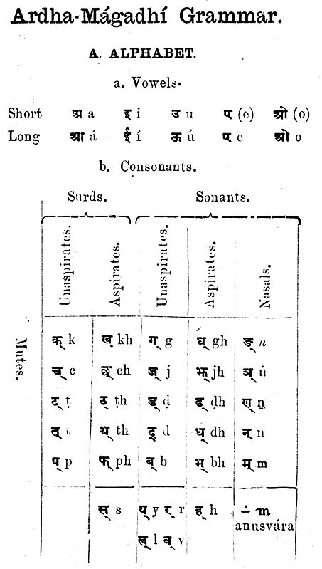 Ardha Magadhi Reader (An Old and Rare Book) | Exotic India Art