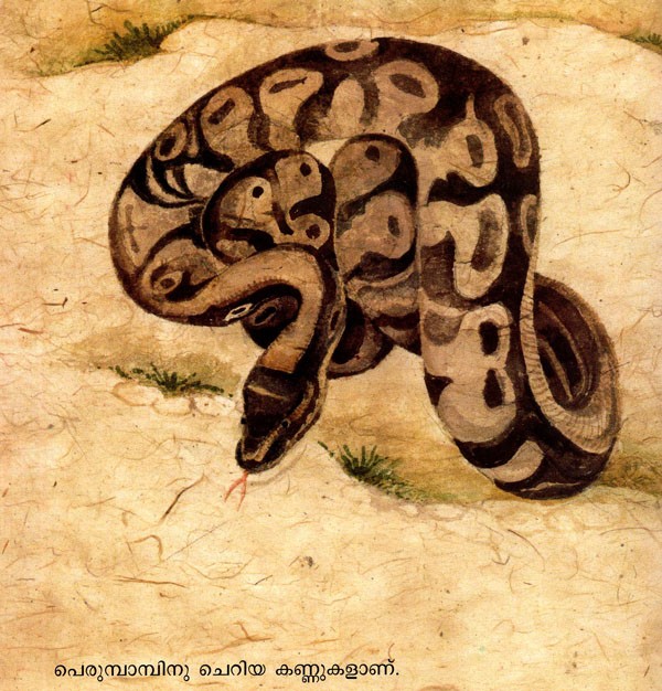 Concept Picturization By Pulak Biswas (Malayalam) | Exotic India Art