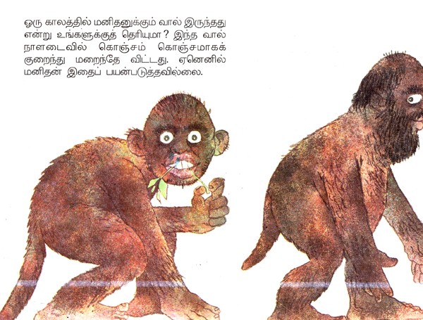 Tails (Tamil) | Exotic India Art