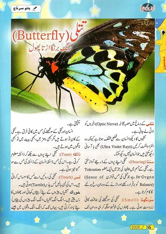 Bachon Ki Duniya (Urdu) | Exotic India Art