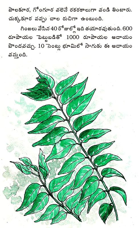 ఆకు కూరలు-ఆదాయం- Aaku Kuralu-Aadaayam (Telugu) | Exotic India Art