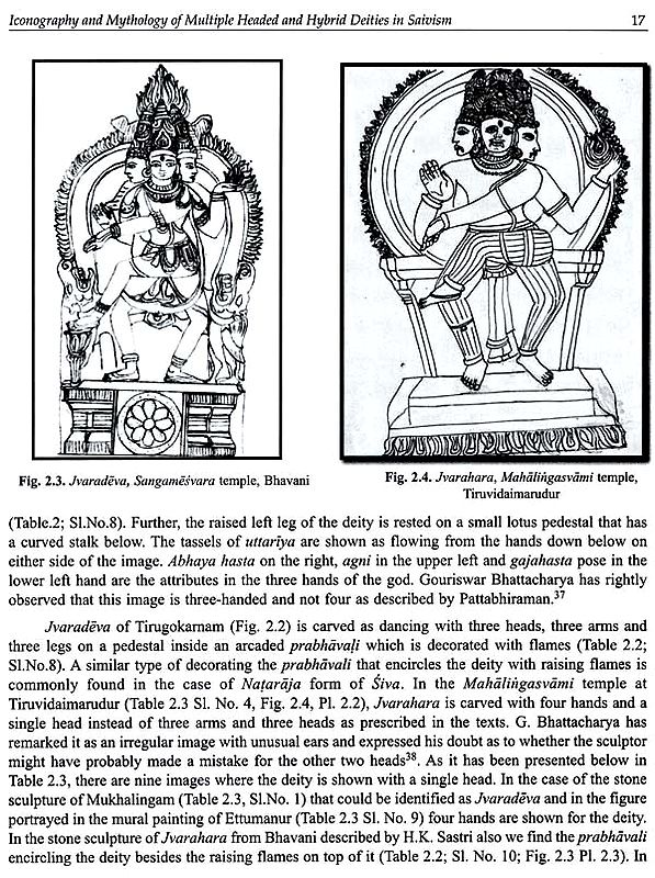 Multiple Headed and Hybrid Gods: In the Temples of South India | Exotic ...