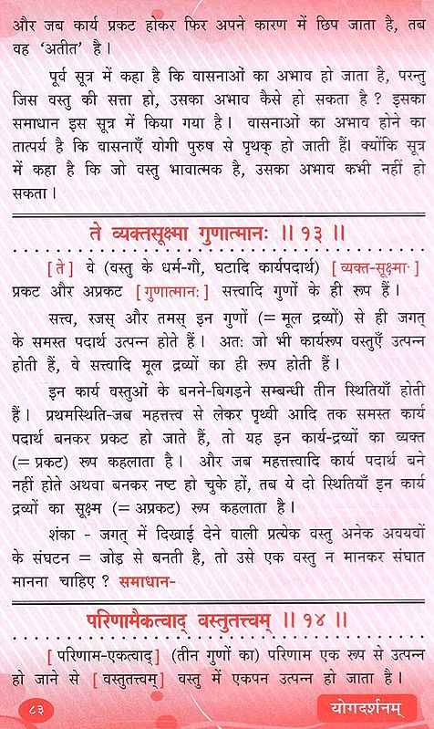 योगदर्शनम्: Yoga Philosophy (Maharishi Patanjali Rishi Praneeth ...