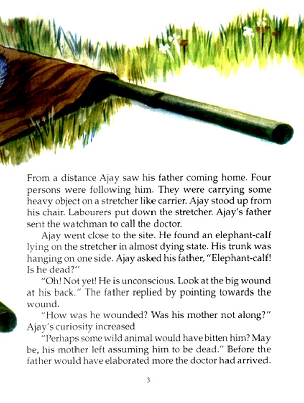 The Story of Appu | Exotic India Art