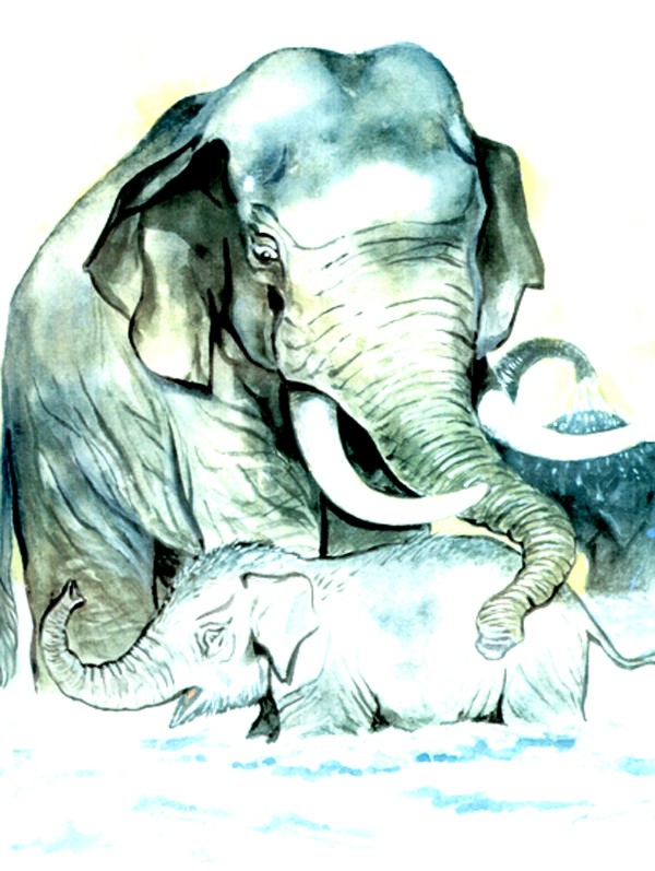 The Story of Appu | Exotic India Art