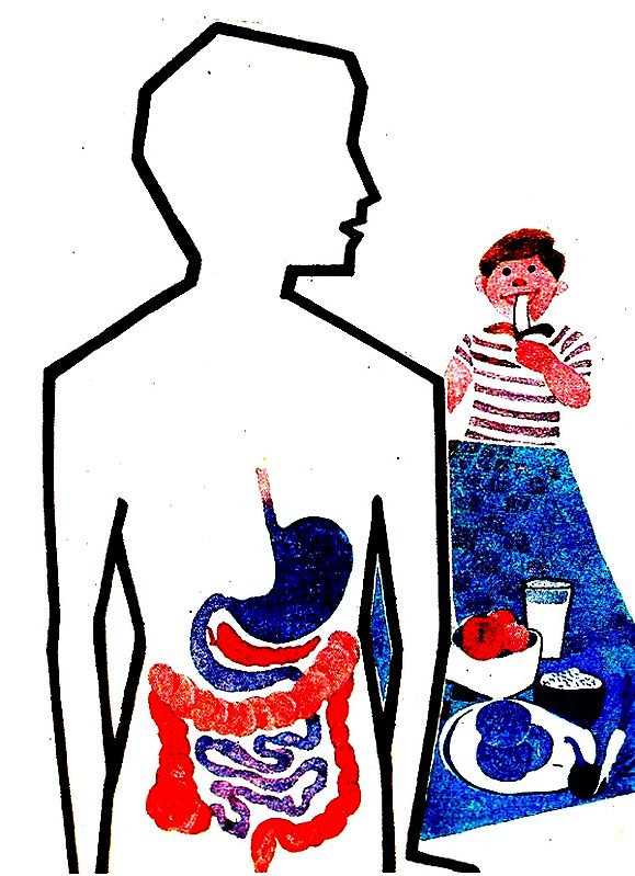 Our Body- A Wonderful Machine | Exotic India Art