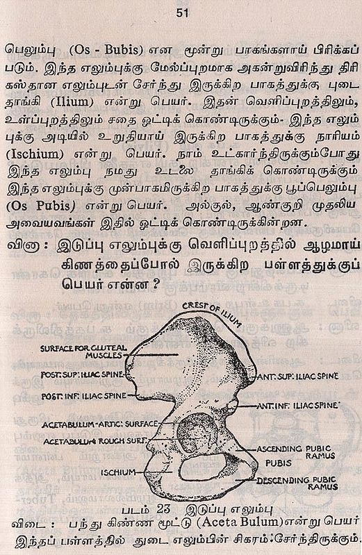 மனித உடற் கூறுபாடு- Human Anatomy- An Old and Rare Book (Tamil ...