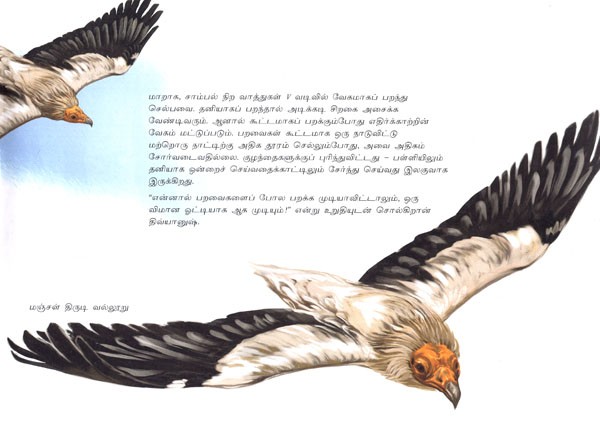 கேவலாதேவ் பறவைகள் சரணாலயம்- Kevladev Paravaigal Saranalayam (Tamil ...