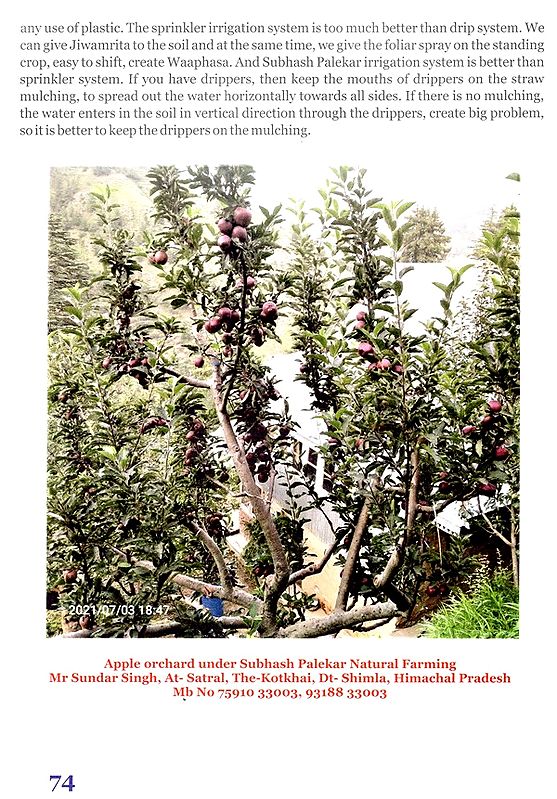 Philosophy & Technology of Subhash Palekar Natural Farming (SPNF ...