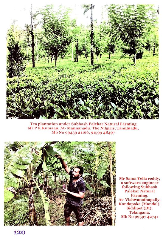 Philosophy & Technology of Subhash Palekar Natural Farming (SPNF ...