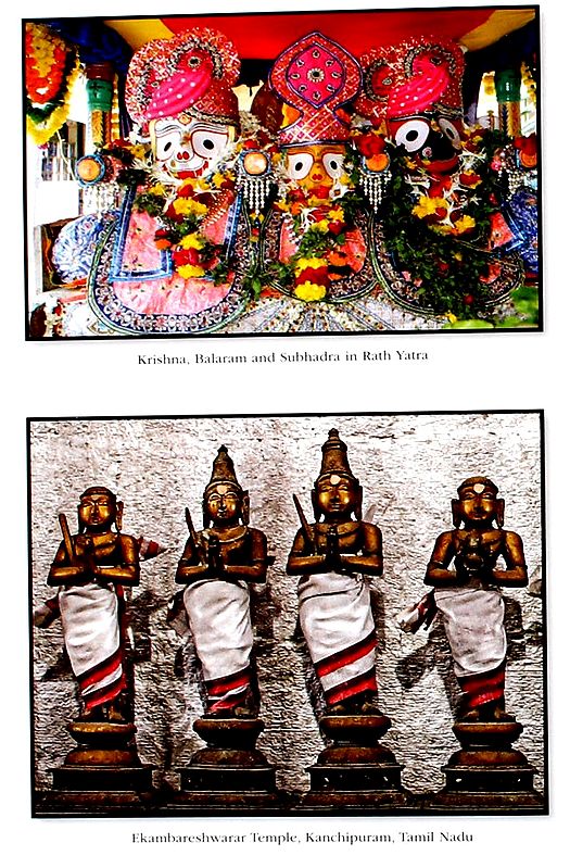 Celebrating India Through Hindu Eyes | Exotic India Art