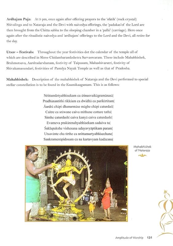 Nataraja: Divine Dance Of The Cosmos | Exotic India Art