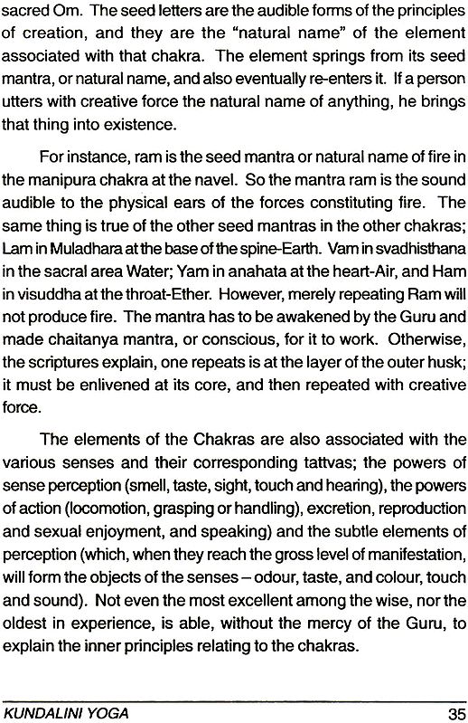 A Practical Guide to Kundalini Yoga: Through Shakthi Path (Rediscover ...