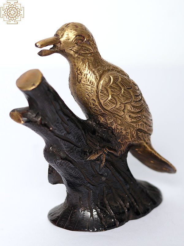 5" Bird Sitting on Branch Statue in Brass | Exotic India Art