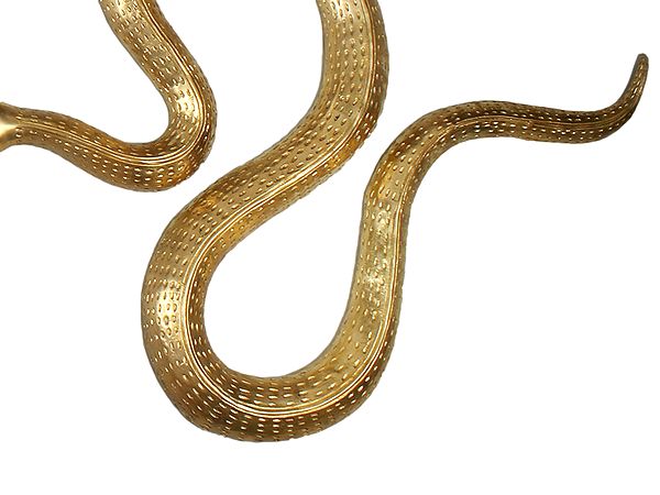 Set of Two Huge Serpents | Exotic India Art