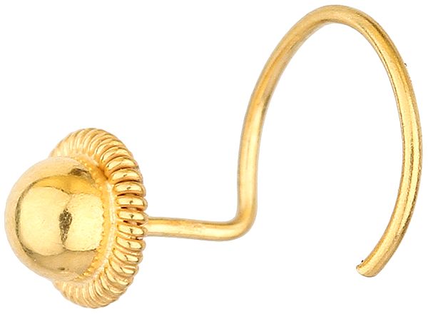 Round Nose Pin | Exotic India Art